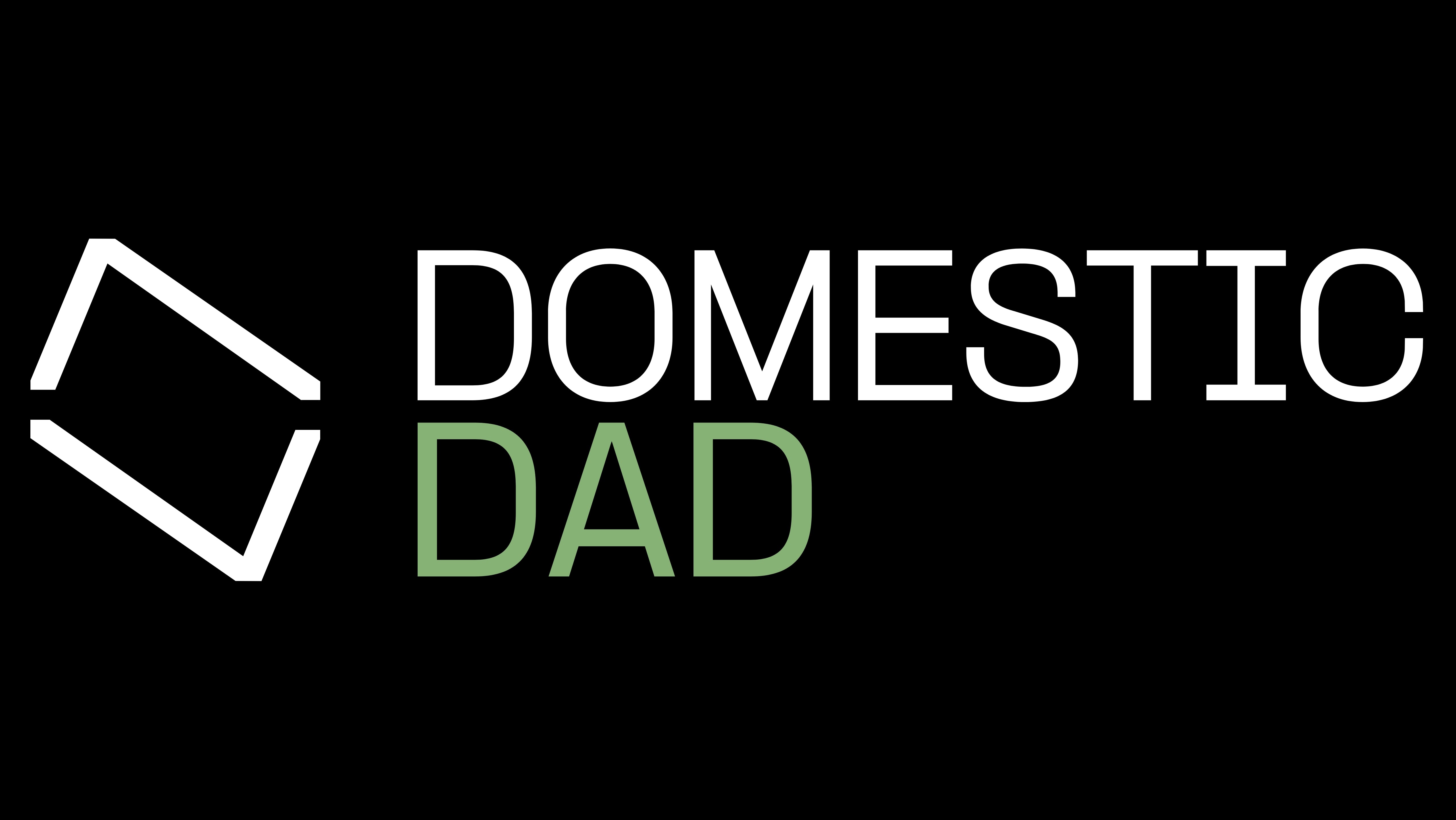 Domestic Dad Project | Empowering Fathers | Transforming Families